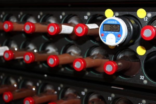 Microbiology Lab: The Germ Detectives - Cincinnati Children's Blog