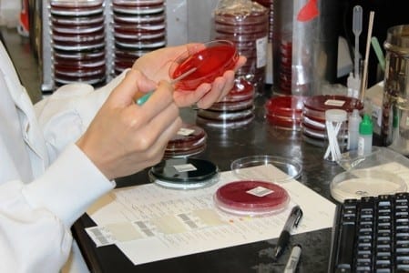Microbiology Lab: The Germ Detectives - Cincinnati Children's Blog