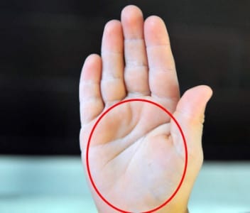 Handy Portion Control for Kids’ Meals - Cincinnati Children's Blog