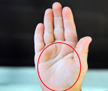 Handy Portion Control for Kids’ Meals - Cincinnati Children's Blog