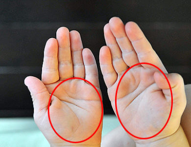 Handy Portion Control for Kids’ Meals - Cincinnati Children's Blog