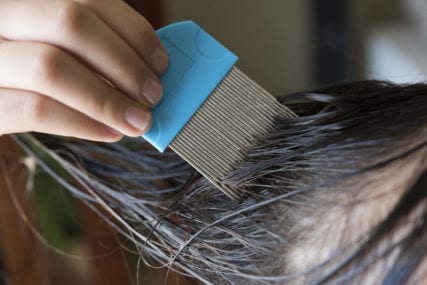 Lice 101: What to Look For And How To Get Rid of Them