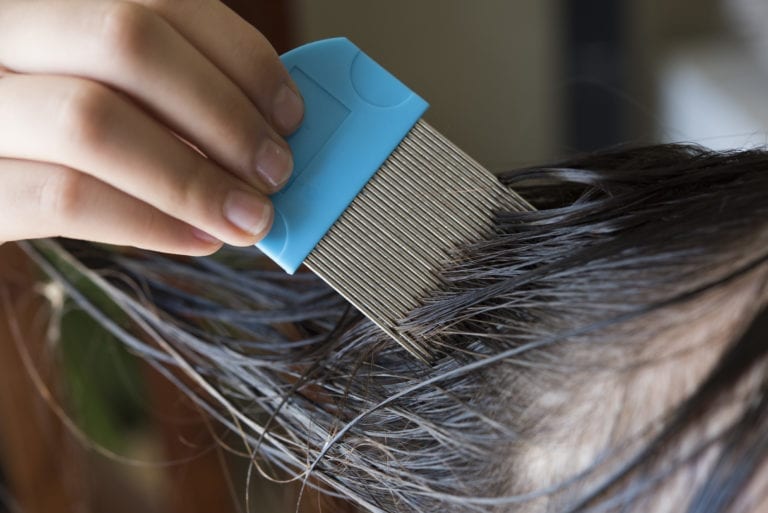 Lice 101: What to Look For And How To Get Rid of Them